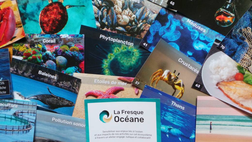 Fresque océane - Baie des sciences